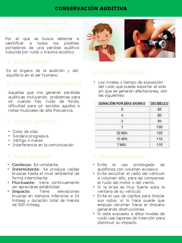 Guia Sve Auditivo | PDF