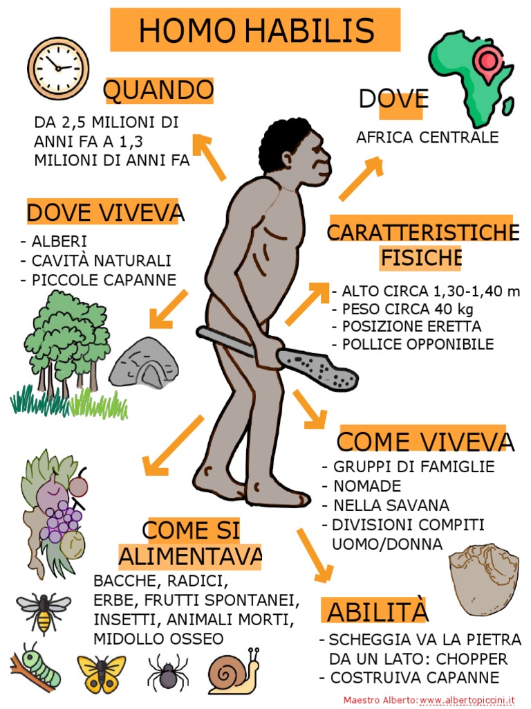 9 Mappa Homo Habilis | PDF