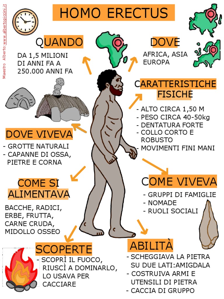 11 Mappa Homo Erectus | PDF