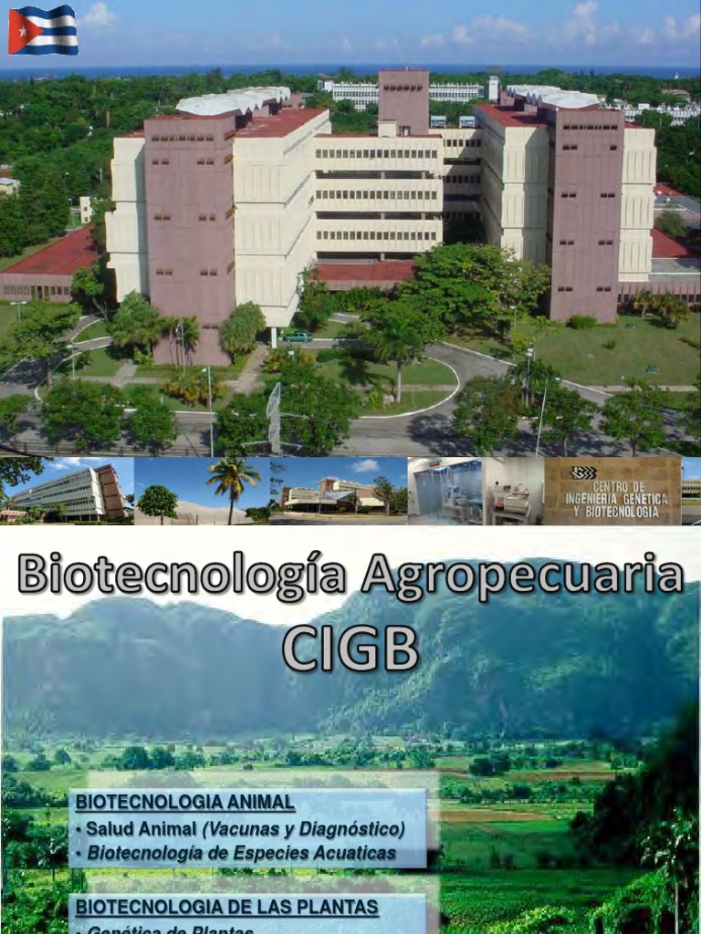 Control de Garrapatas con Vacuna Gavac | PDF | Biotecnología | Vacas