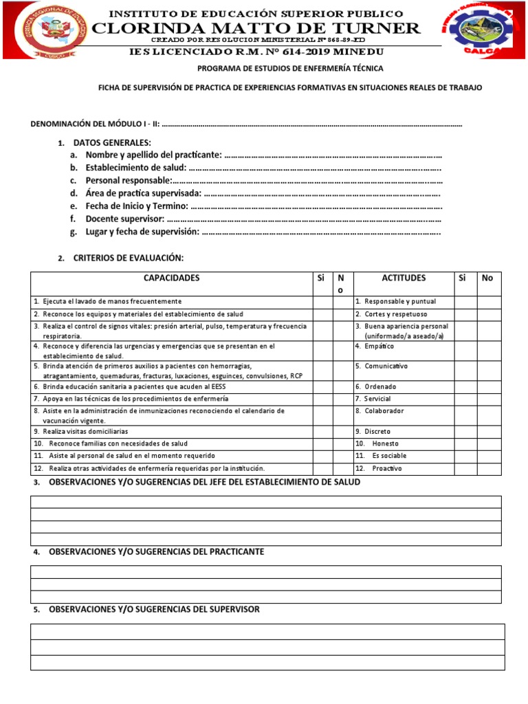 Fichas de Supervision | PDF | Enfermería | Especialidades Medicas