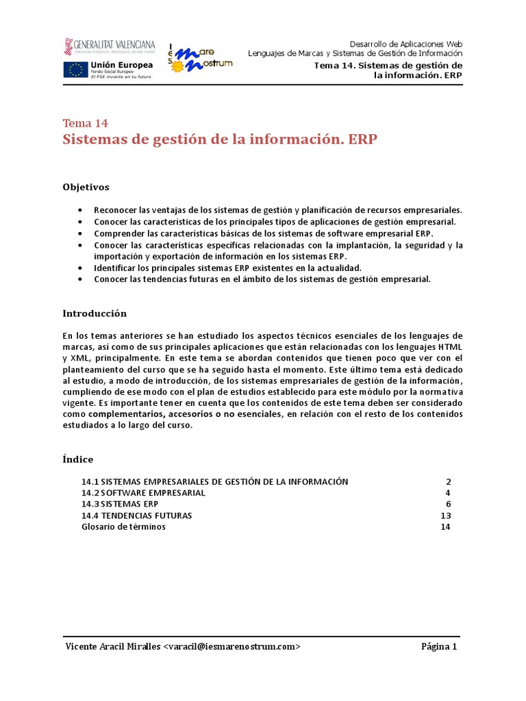Tema 14 | PDF | Planificación de recursos empresariales | Servicio web