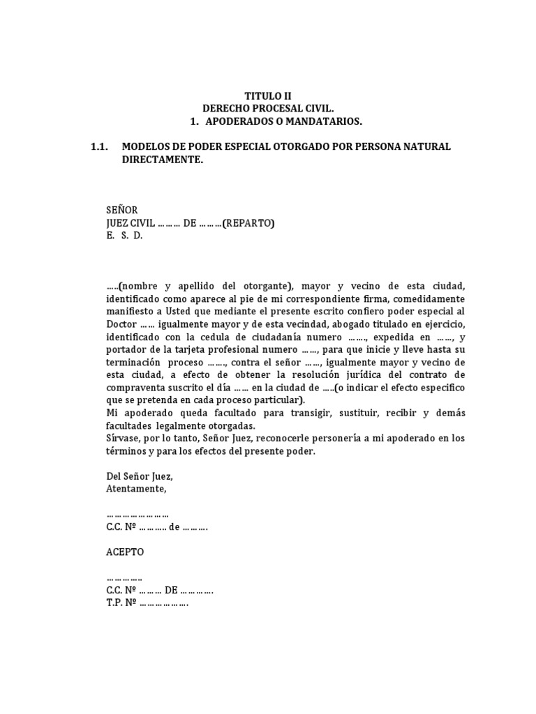 1.1. Modelos de Poder Especial Otorgado Por Persona Natural ...