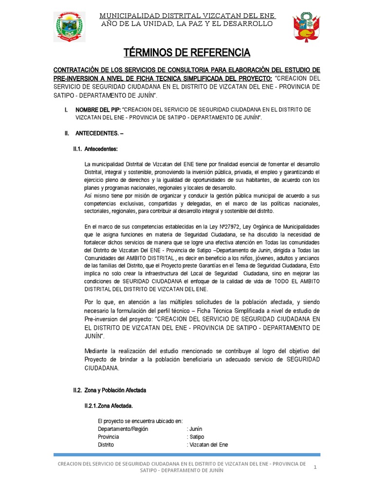 Terminos de Referencia (TDR) Consultoria para La Elaboracion Del ...