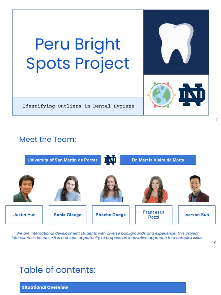 Bright Spots Presentation (English Version) - Fall 2023 | PDF | Survey ...