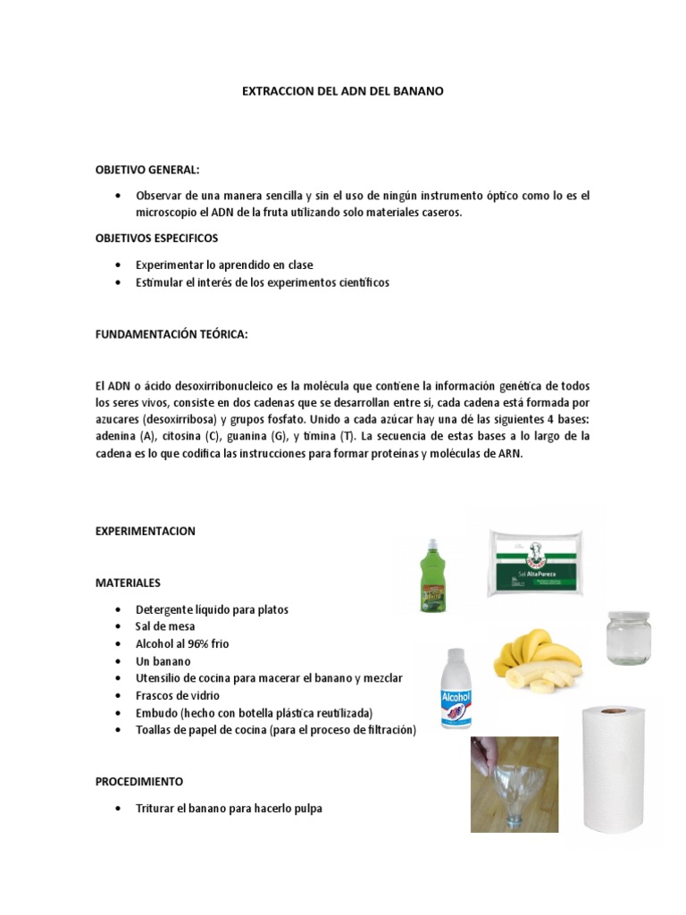 EXTRACCION DEL ADN DEL BANANO | PDF