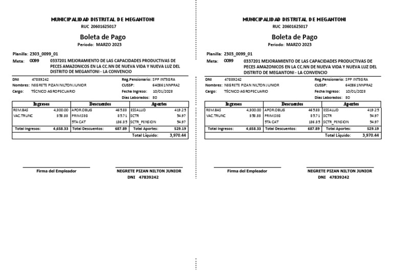 Como Imprimir La Boleta De Pago Ejercito Ecuatoriano