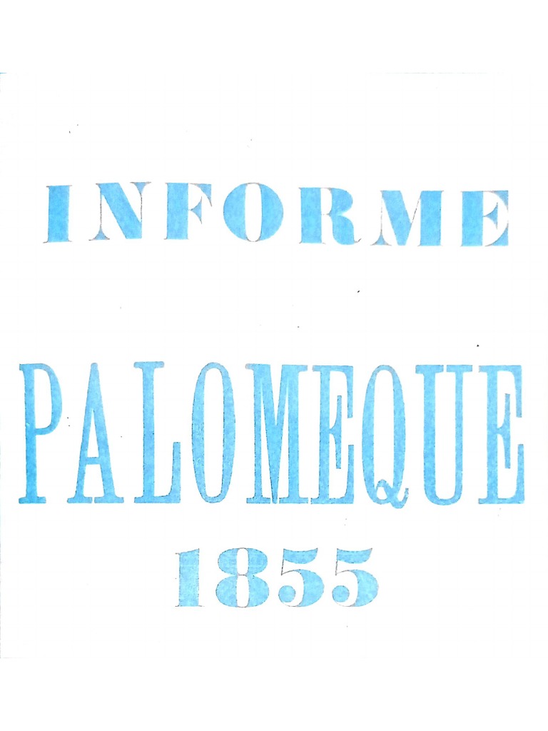 Informe Palomeque (1855) | PDF