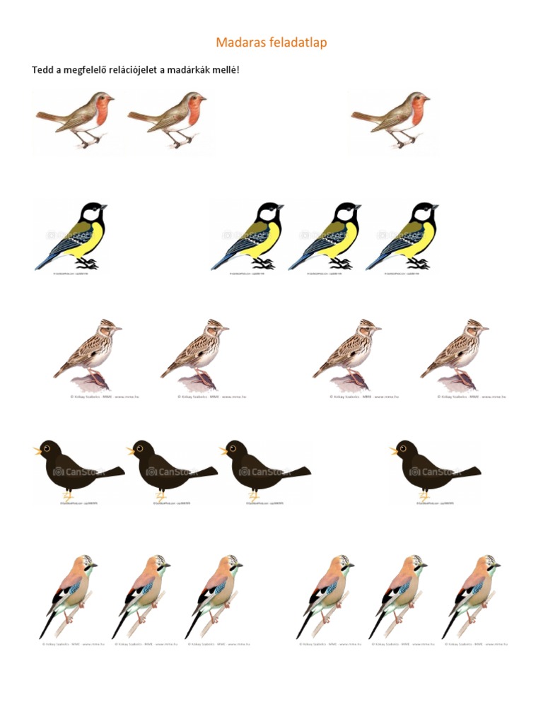Madaras Feladatlap | PDF