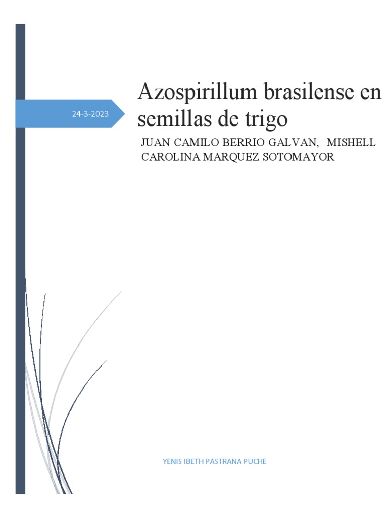 Azospirillum Brasilense en Semillas de Trigo | PDF | Hormona Vegetal ...