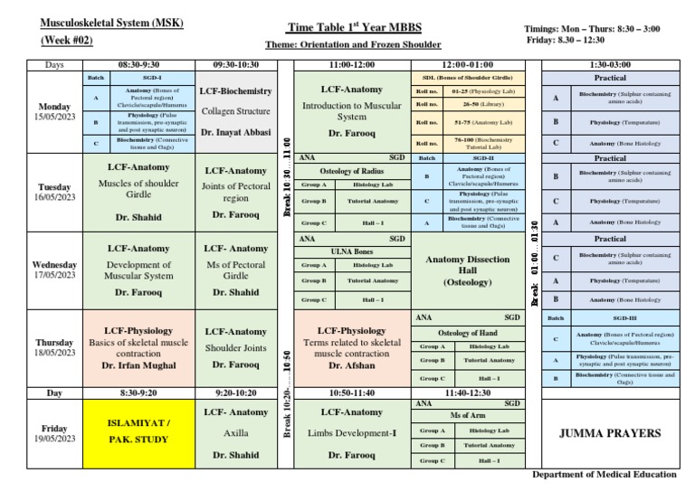 MBBS 1st Year Timetable Overview | PDF | Musculoskeletal System ...