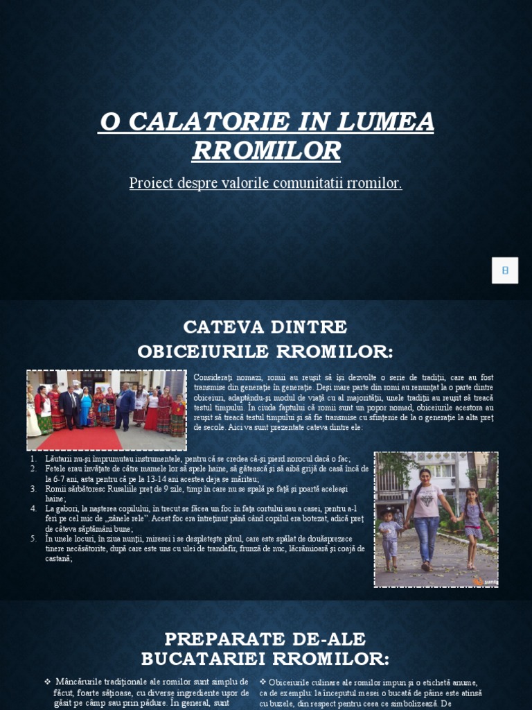 Proiect Romana Romi | PDF