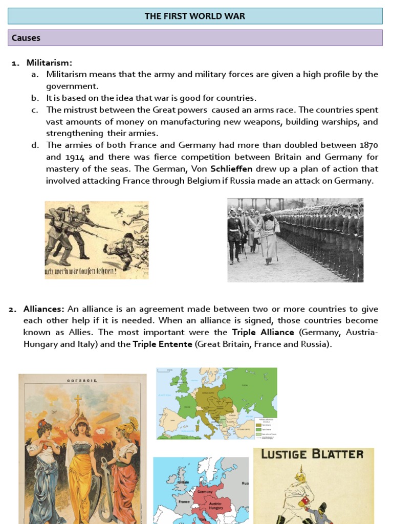 The First World War Causes | PDF | Austria Hungary | German Empire