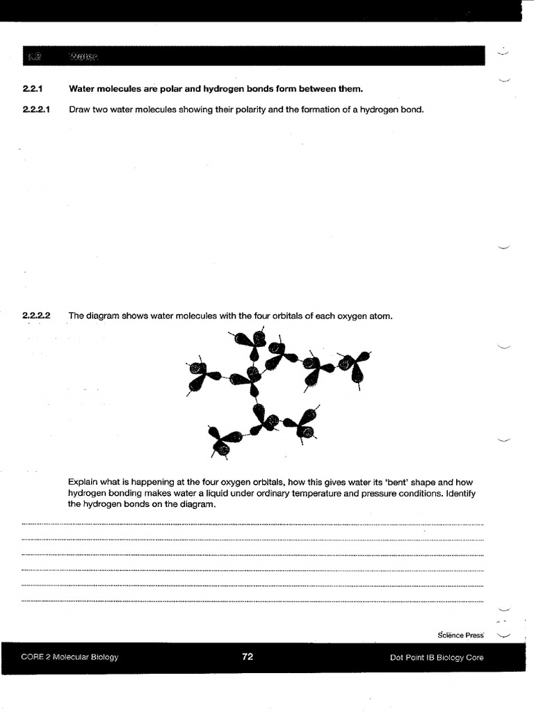 Dot Point - 2.2 Water | PDF Dot Point - 2.2 Water | PDF