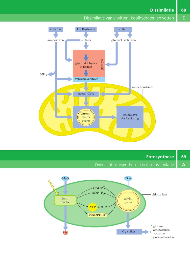 Binas 6e Druk 68e 69a Pdf
