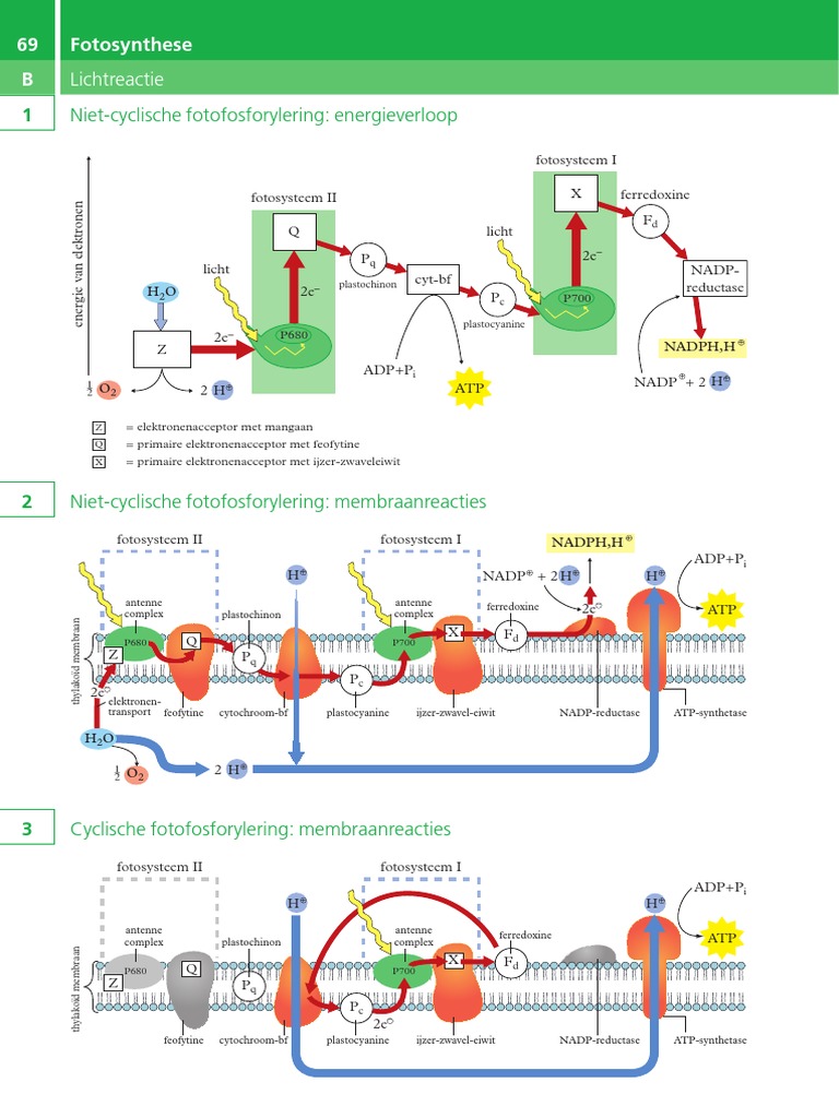 Binas 6e Druk 69B (1,2,3) | PDF