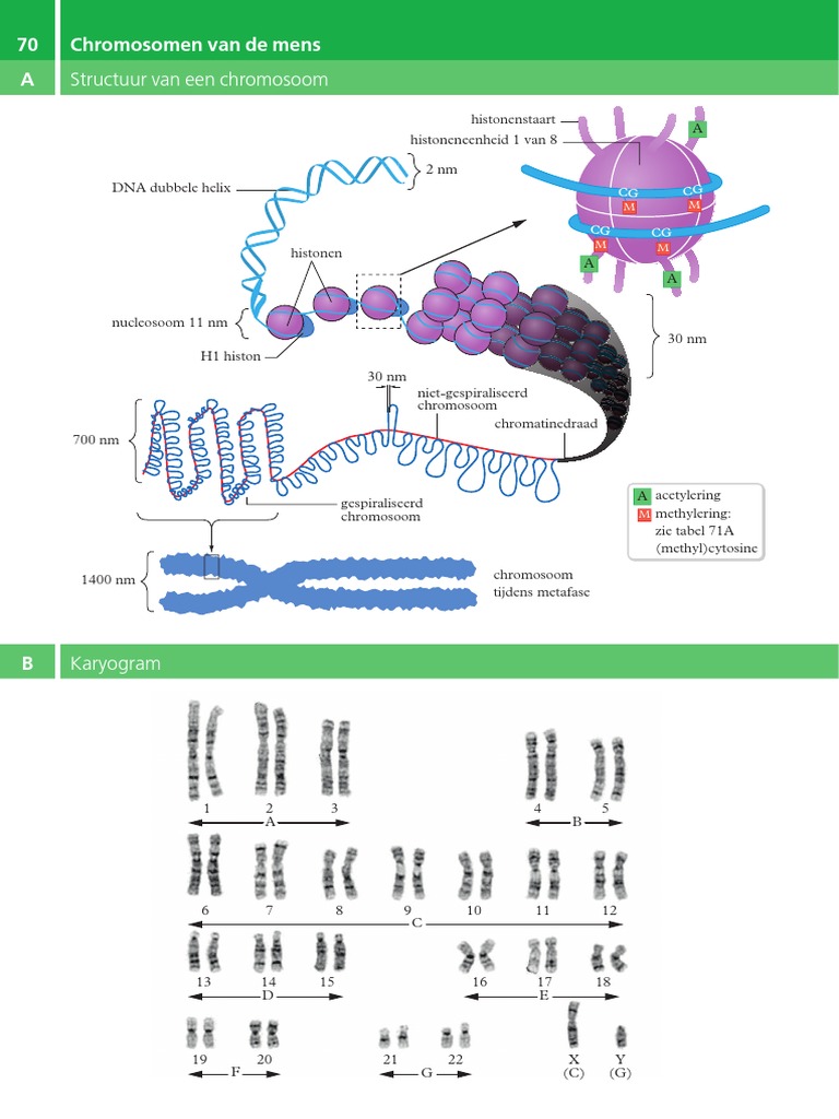 Binas 6e Druk 70A, B | PDF
