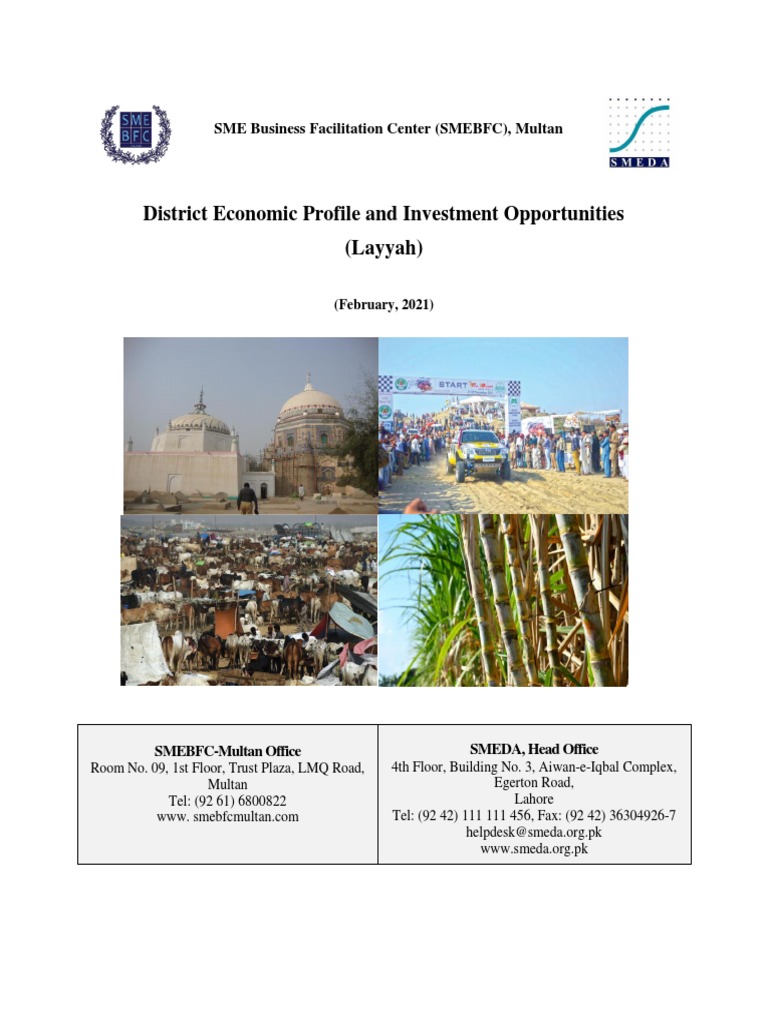 District Profile of Layyah Feb-2021 | PDF | Agriculture | Food Industry