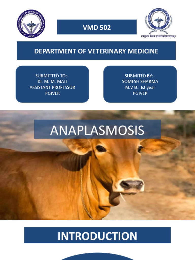 Anaplasma | PDF | Anemia | Diseases And Disorders
