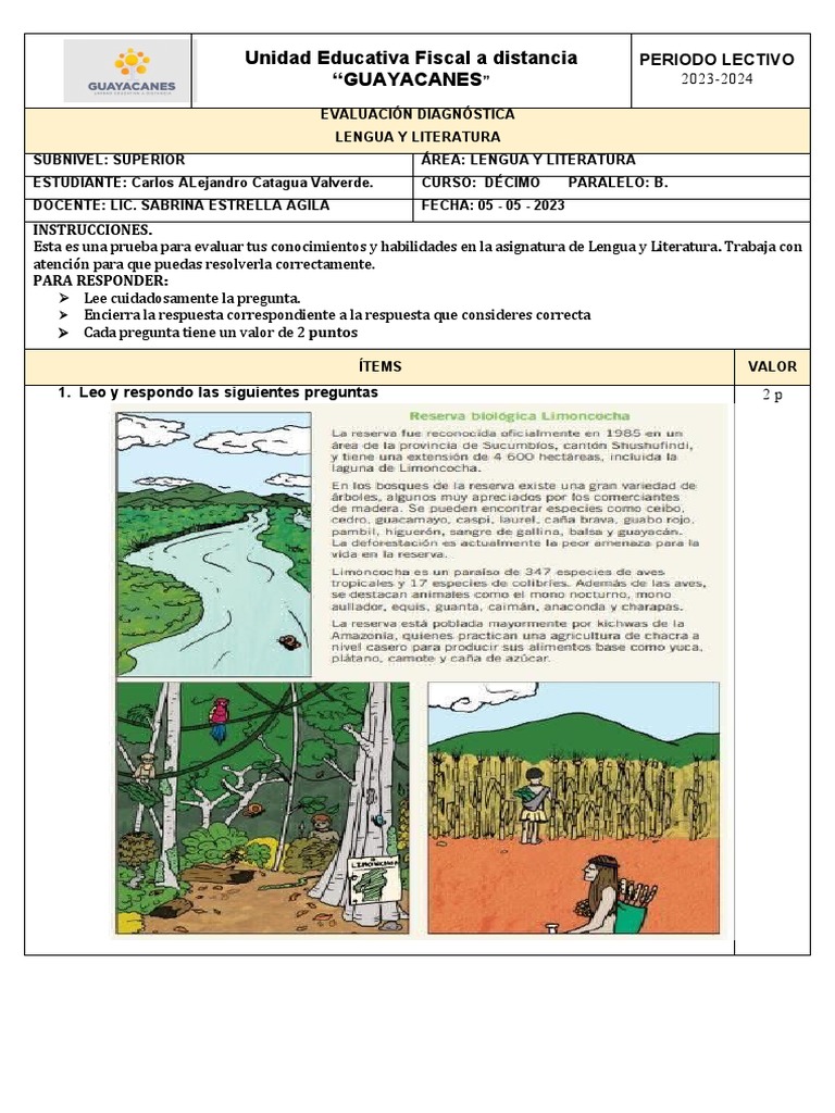 Prueba Diagnóstica Décimo Egb | PDF