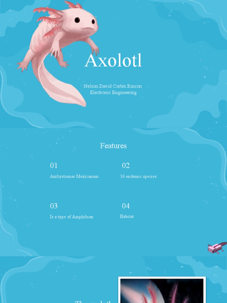 Axolotl | PDF | Environmental Technology | Earth Sciences