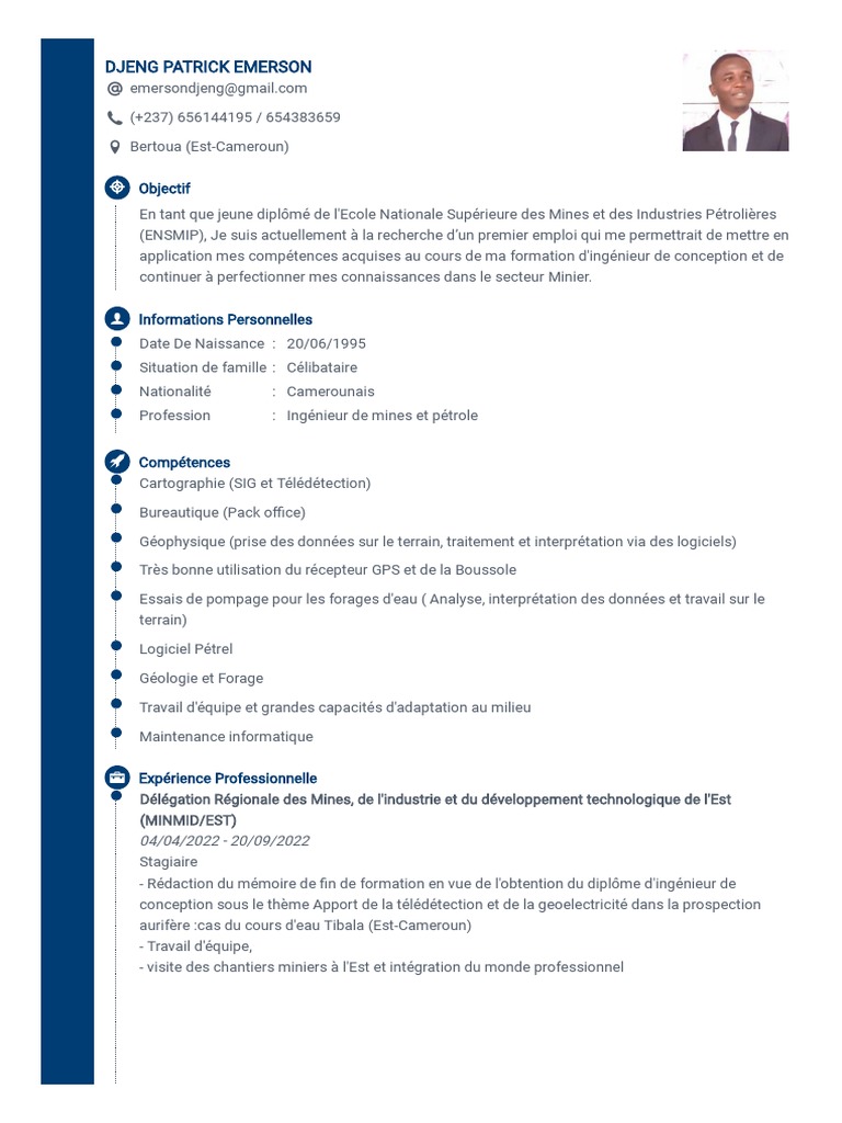 CV Ingénieur Mines - Patrick Emerson | PDF | Exploitation minière | Pétrole