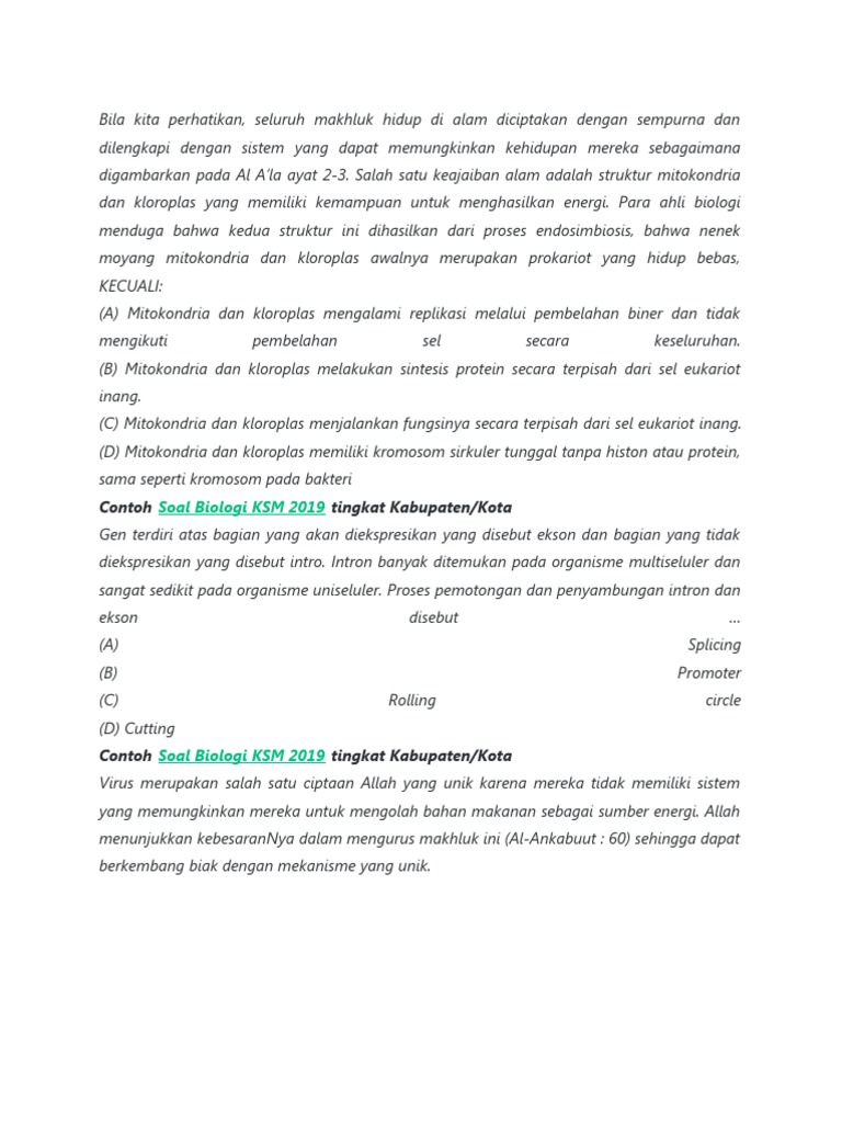 Soal Word 2019 | PDF