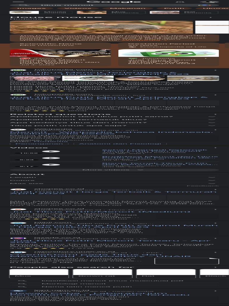 Tikus Mencit - Google Search | PDF