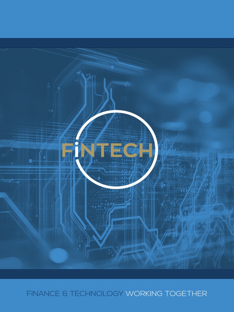 Fintech Stock Brochure | PDF | Privatization | Stocks