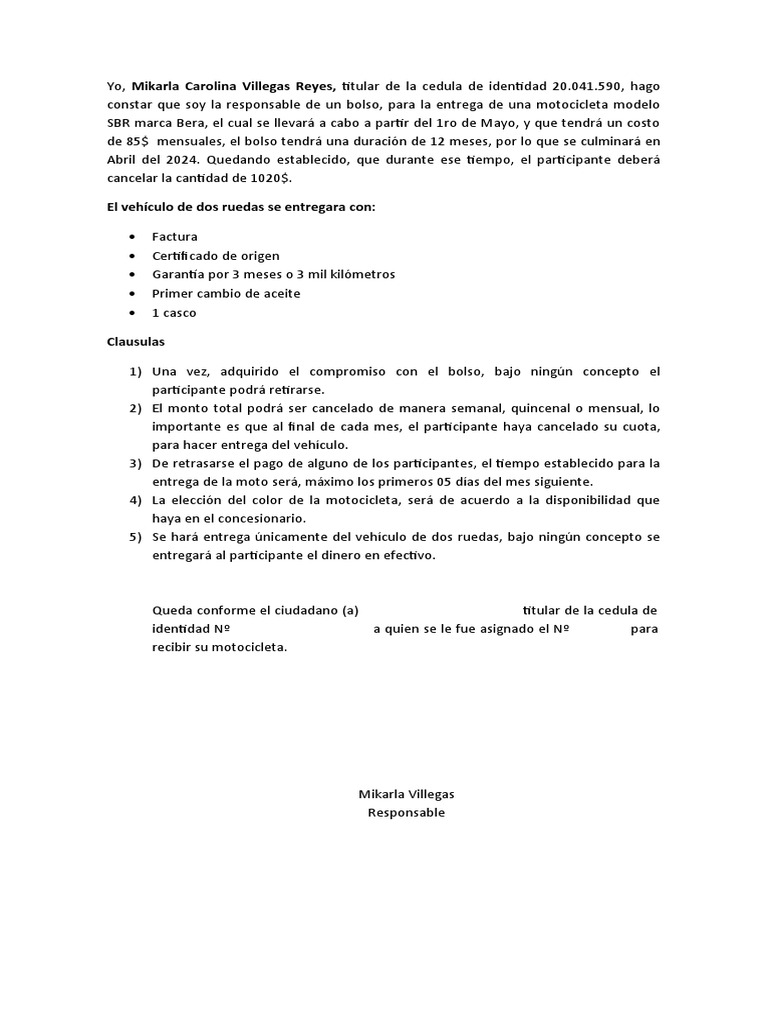 Documento Bolso | PDF