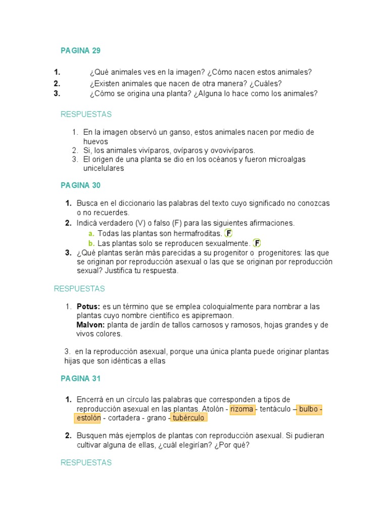 Trabajo Juanjo | PDF | Reproducción | Flores