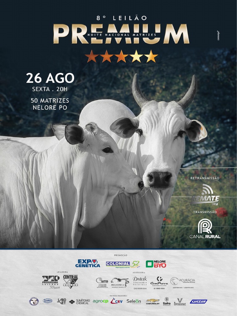 Catálogo Colonial Matrizes | PDF