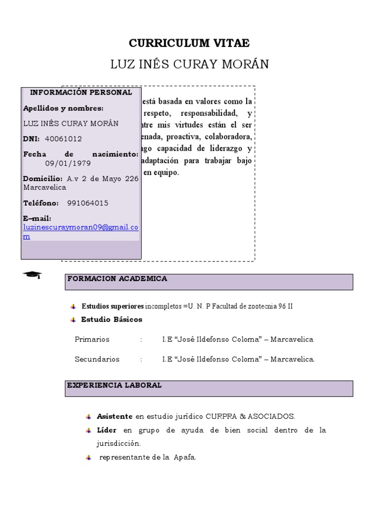 Curriculum Vitae Luz | PDF