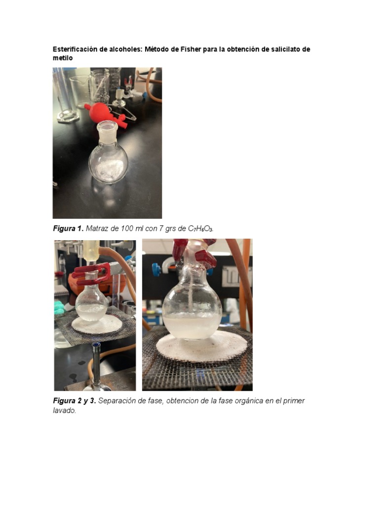 Esterificación De Alcoholes Pdf