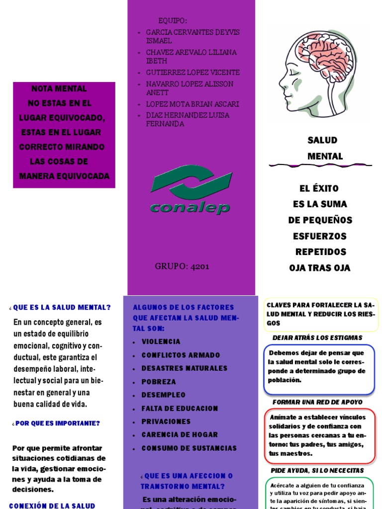 Tarea Salud Mental Equipo | PDF | Salud mental | Ciencia cognitiva