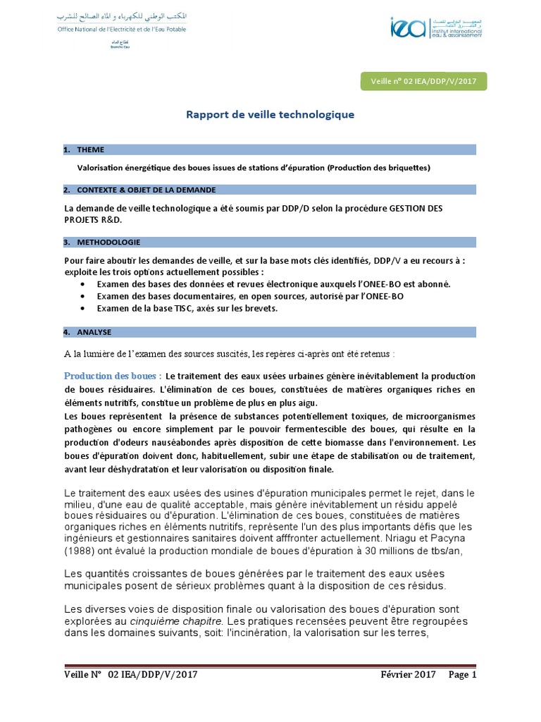 Rapport Veille Technologique 02 | PDF | Épuration des eaux | Incinération