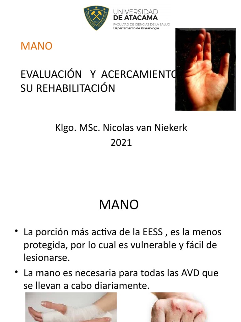 Rehabilitación y Evaluación de la Mano | PDF