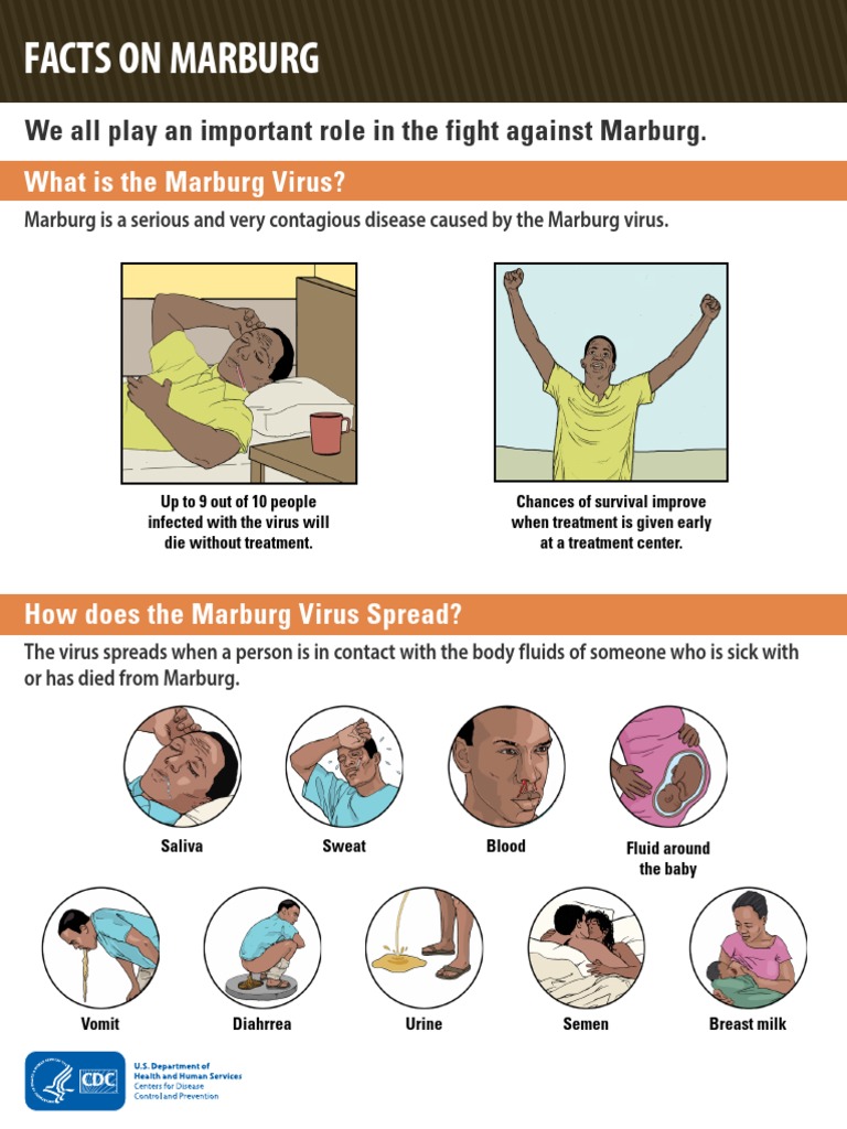 Understanding Marburg Virus Transmission | PDF