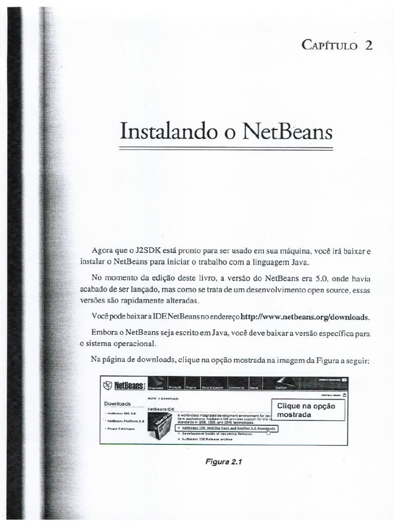 Dominando Netbeans - Capítulo 2 | PDF