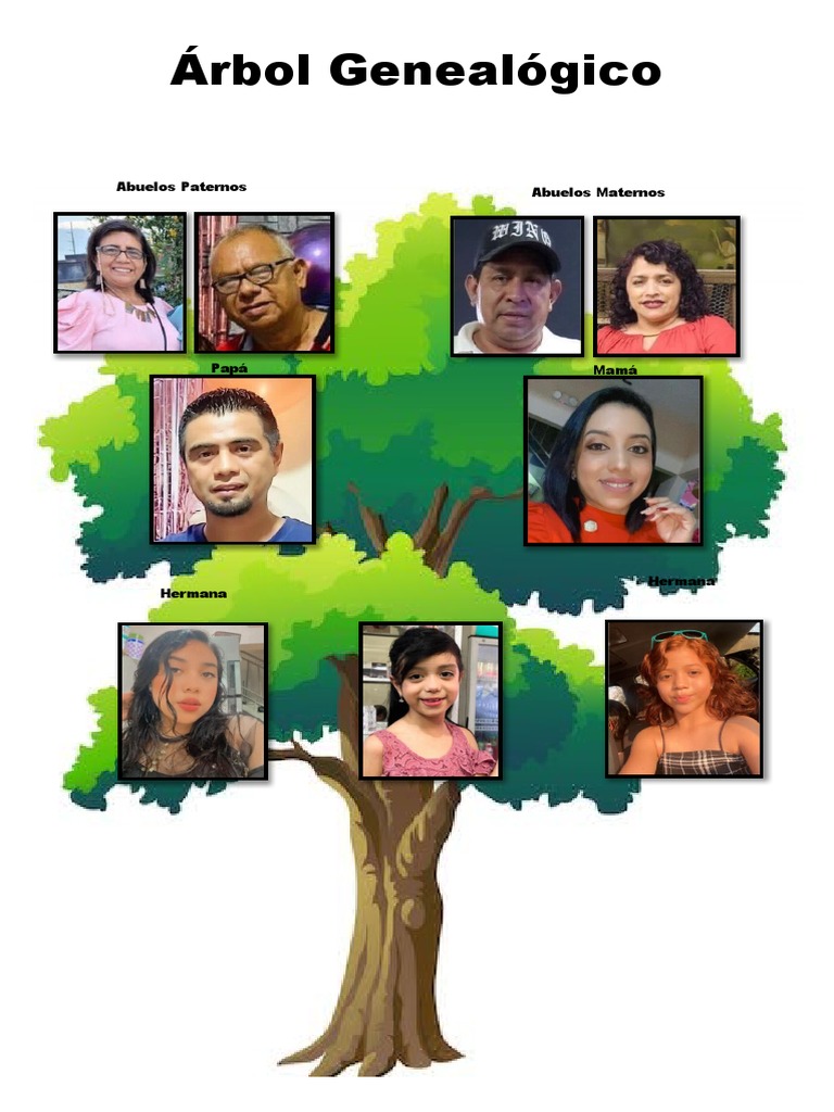 Arbol | PDF
