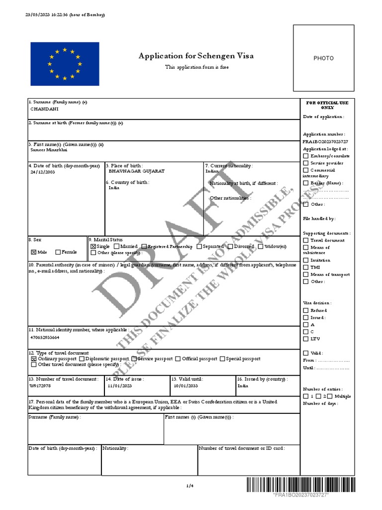 Schengen Visa Application Form Guide | PDF