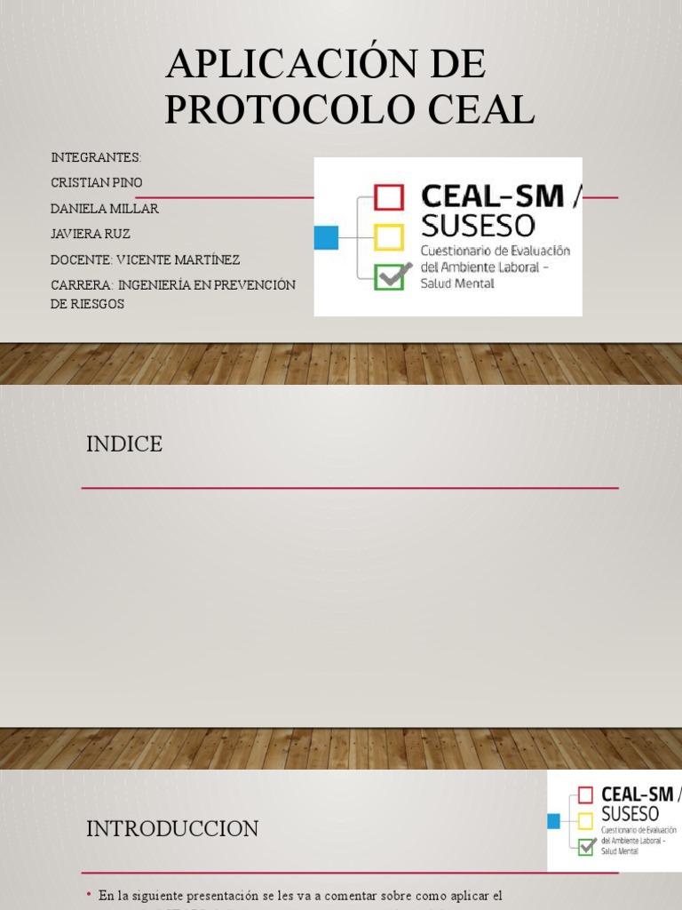 Aplicación de Protocolo CEAL Presentacion | PDF | Negocios
