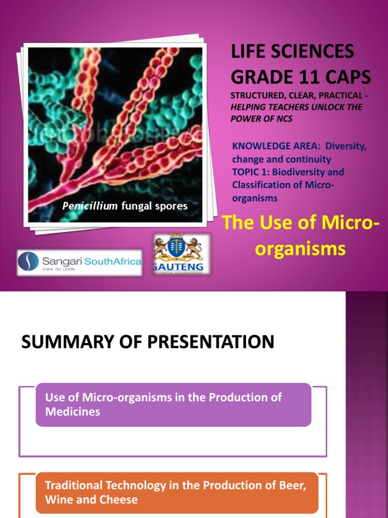 PP8 Use of Micro-Organisms | PDF | Yeast | Beer