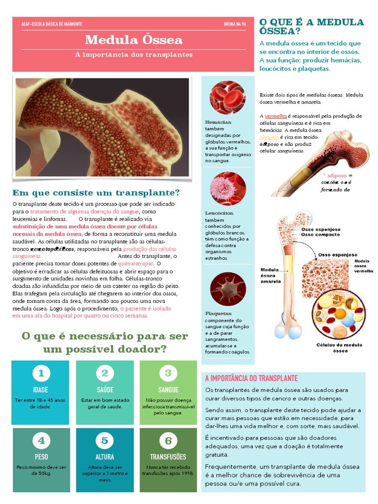 medula óssea - pdf | PDF | Medula óssea | Sangue