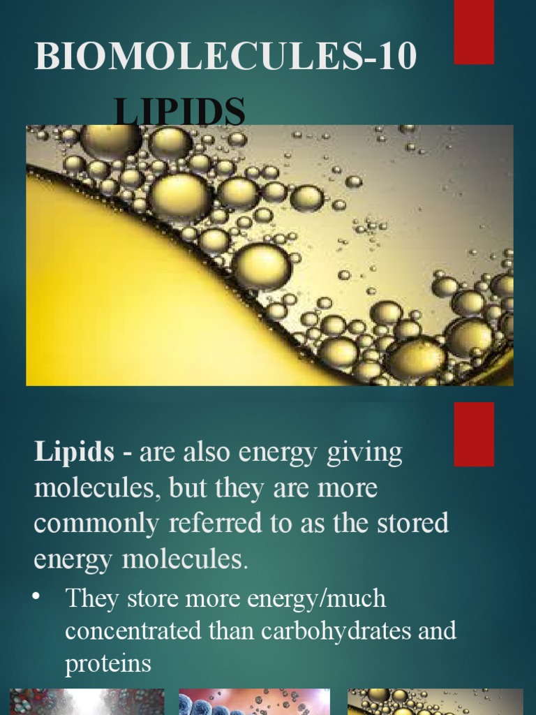 LIPIDS PPT | PDF