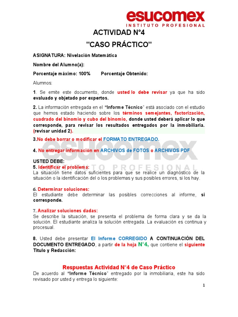 Actividad NÂ°4 Caso PrÃ¡ctico | PDF