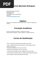 Currículo Andreia | PDF | Negócios | Computadores