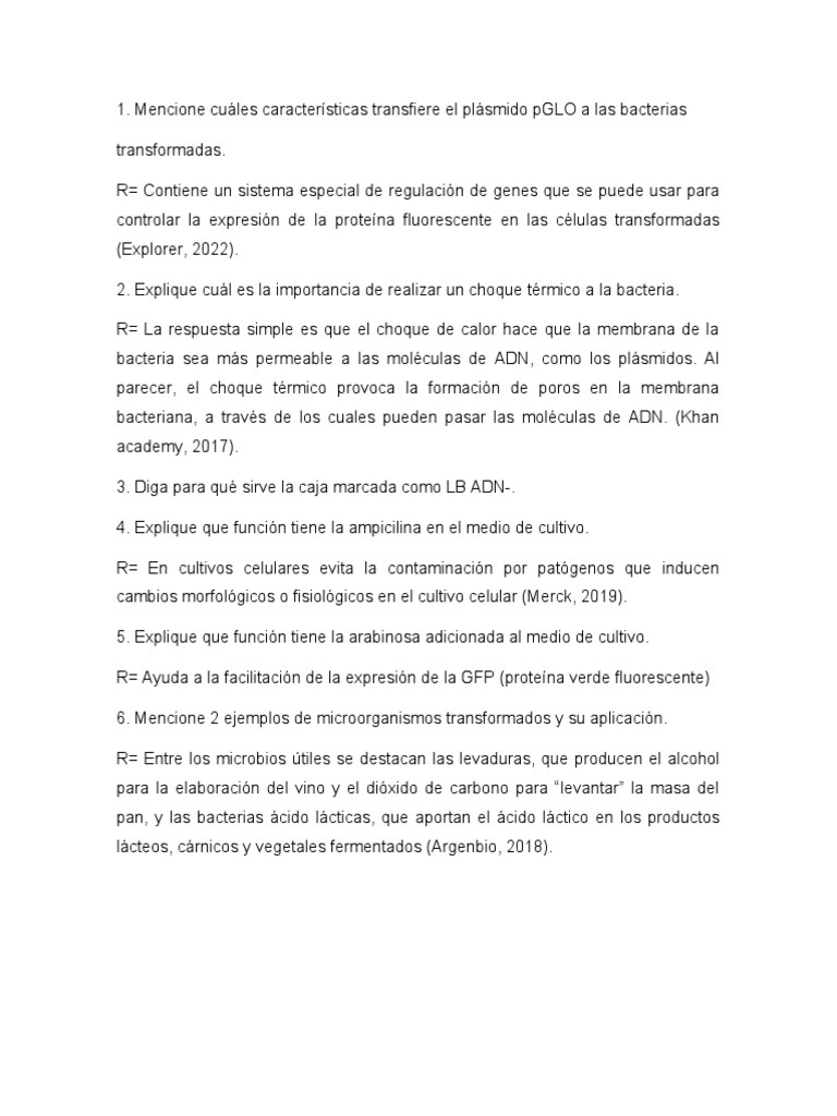 Cuestionario Ultima Practica Micro | PDF