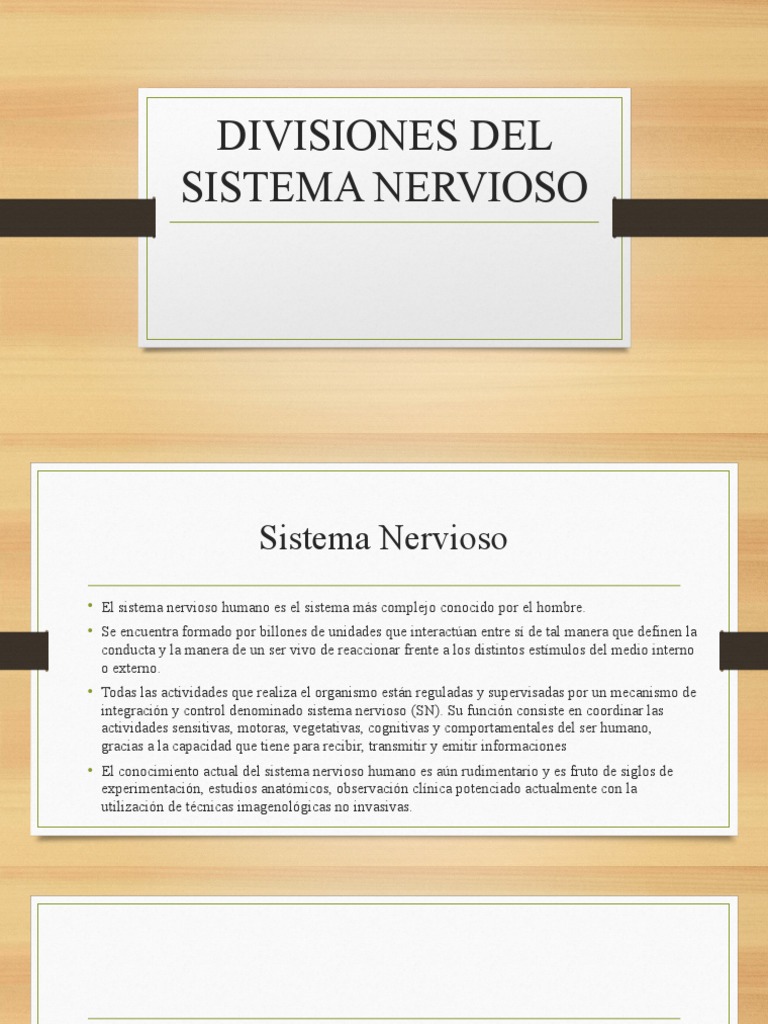 Divisiones Del Sistema Nervioso | PDF