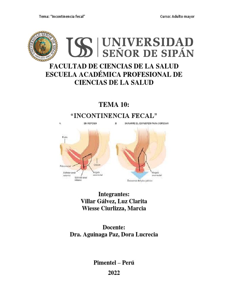TEMA 10 - Incontinencia Fecal | PDF | Heces | Estreñimiento